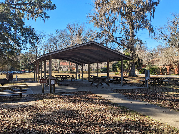 Picnic pavilions where even peanut butter sandwiches taste gourmet thanks to the million-dollar natural views.