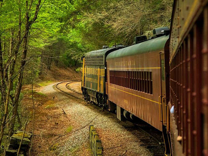 Around every bend, a new postcard moment emerges as the train navigates curves that seem designed specifically for photographers and daydreamers alike.