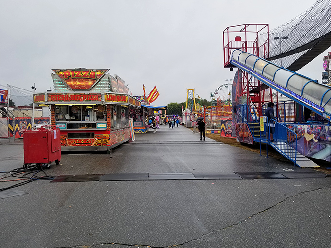 The Piedmont Interstate Fair brings cotton candy dreams and carnival thrills to Spartanburg each year, proving some childhood joys never lose their magic.