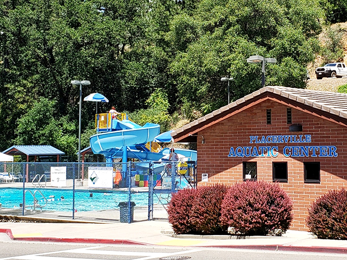 The Placerville Aquatic Center proves that mountain towns know how to make a splash. That water slide has cooled more overheated families than an ice cream truck.