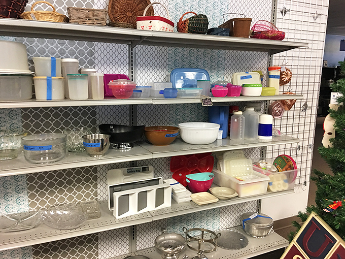 Tupperware paradise for the organizationally obsessed. Marie Kondo would approve of giving these containers their second chance at sparking joy.