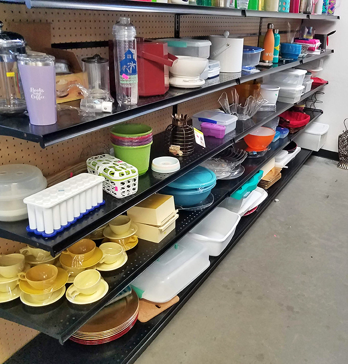 Kitchen organization nirvana awaits in these colorful rows of Tupperware—each container holding the ghosts of potlucks past and meal preps future.
