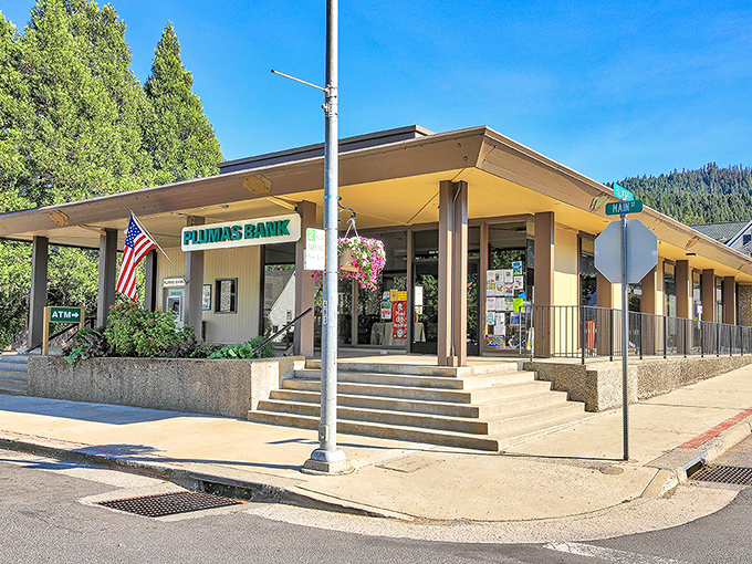 Plumas Bank proves even financial institutions look friendlier when surrounded by pine-scented air and mountain views.