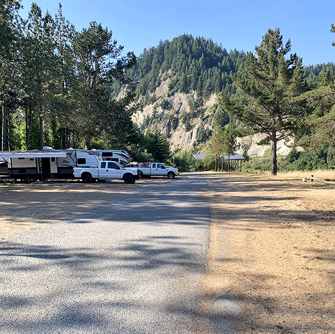 River's Edge RV Park welcomes wanderers to stay awhile, with mountain views that beat any screensaver ever invented.