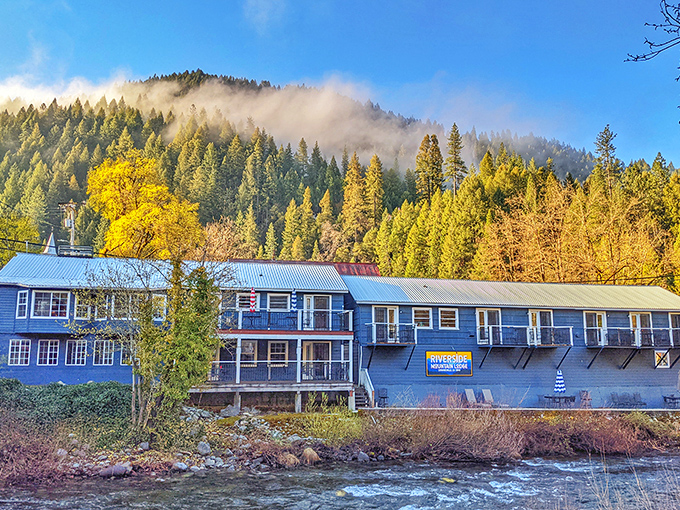 The Riverside Mountain Lodge offers rooms with a view that no filter could improve &ndash; the soundtrack of rushing water comes standard.
