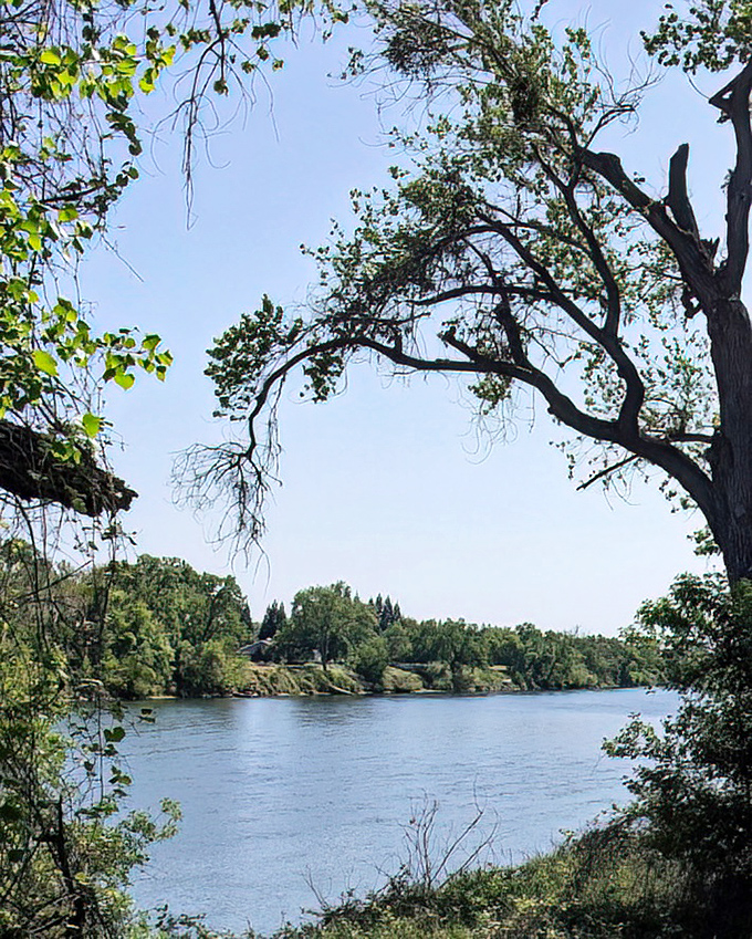 The Sacramento River view framed by ancient trees offers the same peaceful vista that greeted California's earliest settlers.