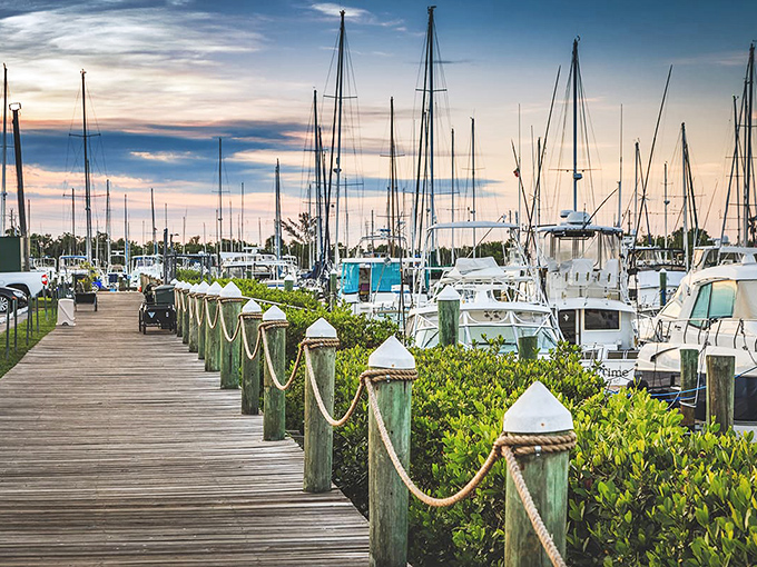 Harbor boardwalks lined with gleaming vessels create a nautical neighborhood where every "home" has an ocean view and a story to tell.
