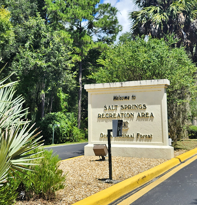 The entrance sign promises little but delivers everything. Like finding a Michelin-star restaurant in a strip mall.