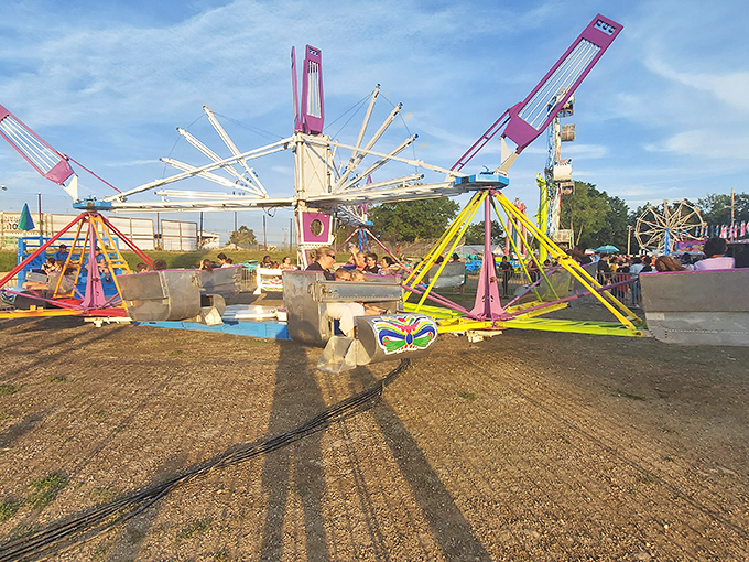 The county fair midway spins with affordable joy, where cotton candy dreams and carnival rides create the soundtrack of summer memories.