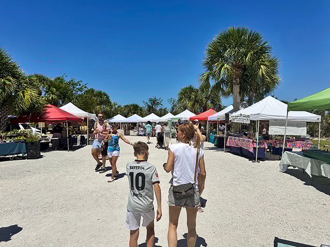Sanibel's farmers market buzzes with local flavor and island charm. Where shopping bags fill with treasures that won't collect dust.