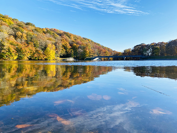 Mirror-perfect lake reflections create optical illusions that would make M.C. Escher slightly jealous.