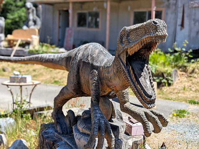 This velociraptor looks hungry for compliments on the sculptor's attention to detail. Jurassic Park meets Oregon coast.