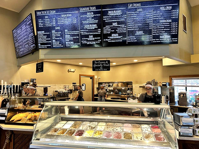 The service counter reveals the holy grail of decision-making challenges: which of these handcrafted flavors will change your life today?