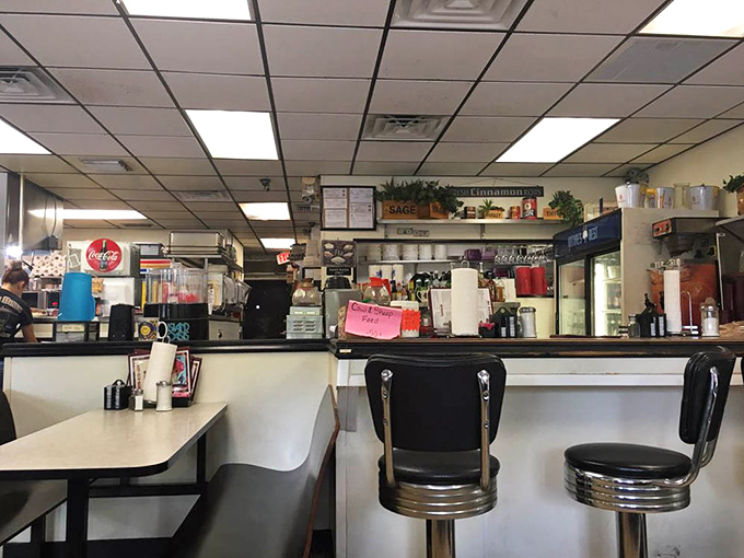 The counter where magic happens. Behind every great Florida diner is an even greater short-order cook who can flip eggs faster than you can say "over easy."