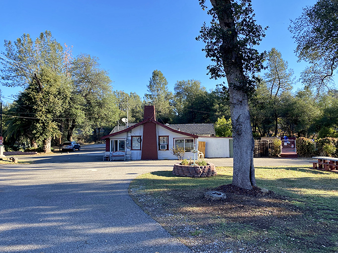 Small-town motels with big-time comfort &ndash; proof that luxury isn't always about thread counts.