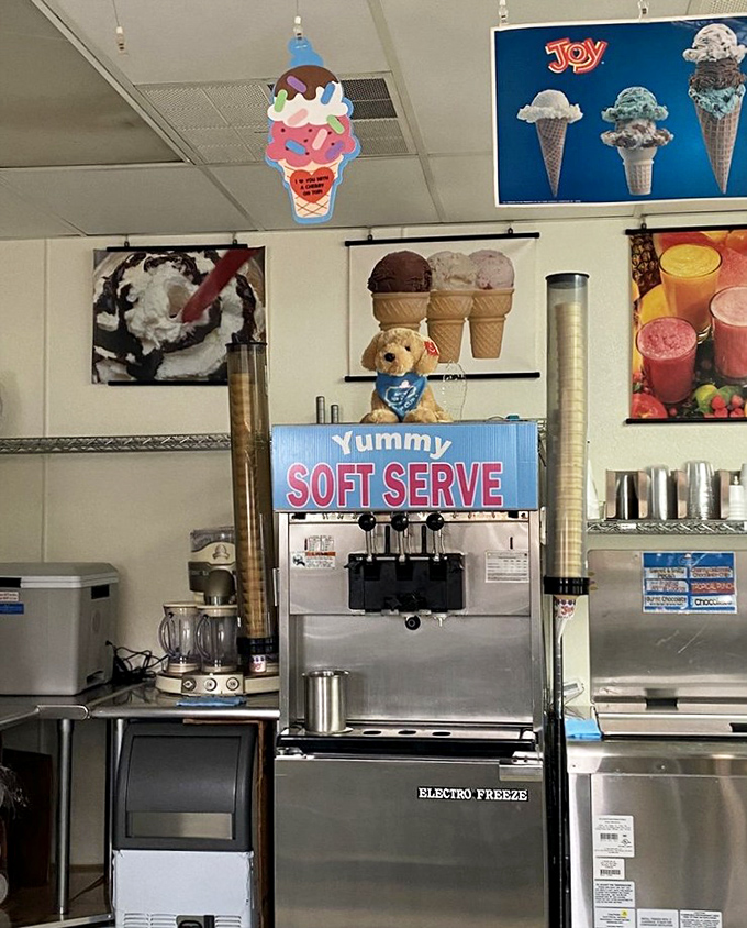 Behind the scenes magic: where ordinary ingredients transform into extraordinary memories. The soft serve station awaits its next masterpiece.