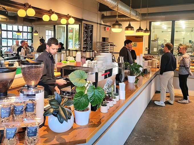 Where the magic happens. Plants soften the industrial edges while baristas craft drinks with the focus of scientists and the flair of artists.