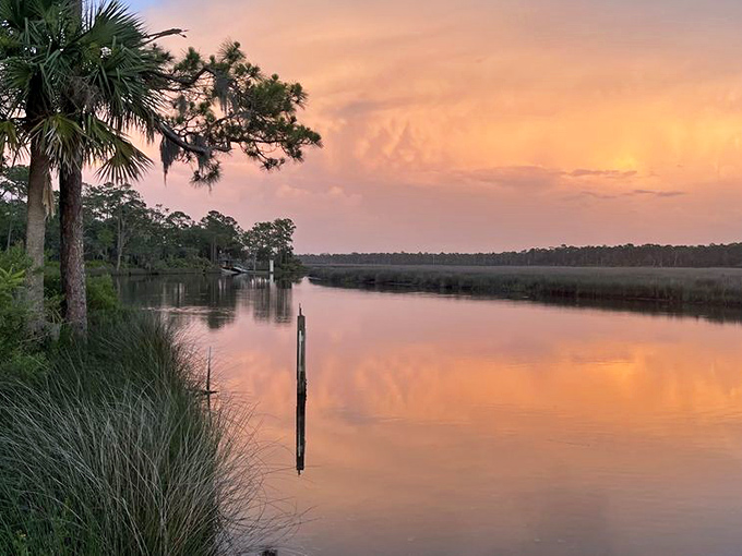 Sunset transforms Pellicer Creek into liquid gold. No admission fee for nature's nightly light show&mdash;just bring your sense of wonder.