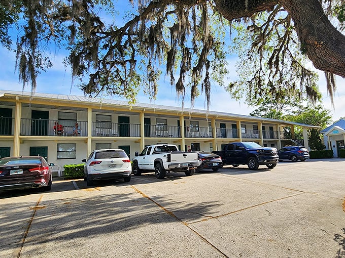 Waterfront lodging puts you close enough to hear fish jumping while you sip your morning coffee peacefully.
