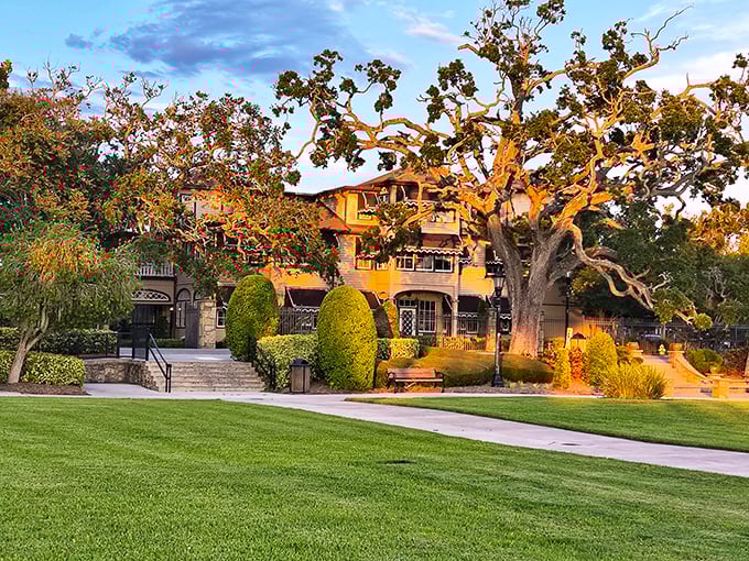 The Casements stands as Ormond's crown jewel, where Rockefeller once wintered and today's visitors soak in history under ancient oak guardians.