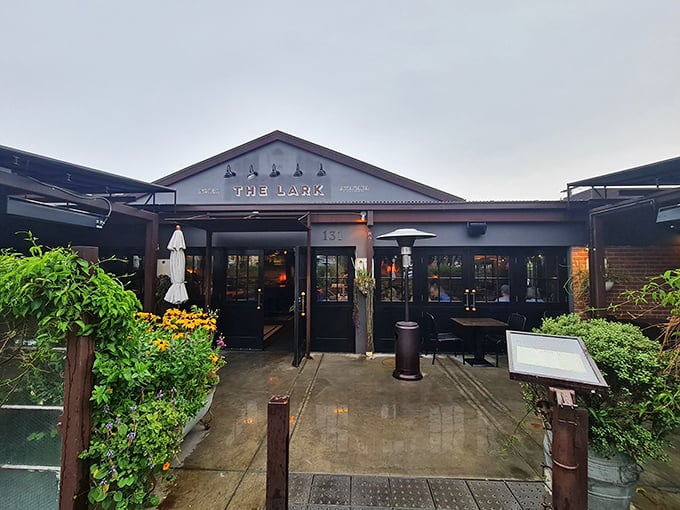 The Lark welcomes hungry travelers to the Funk Zone with industrial-chic vibes. Where Santa Barbara's food scene shines in a former fish market turned culinary hotspot.