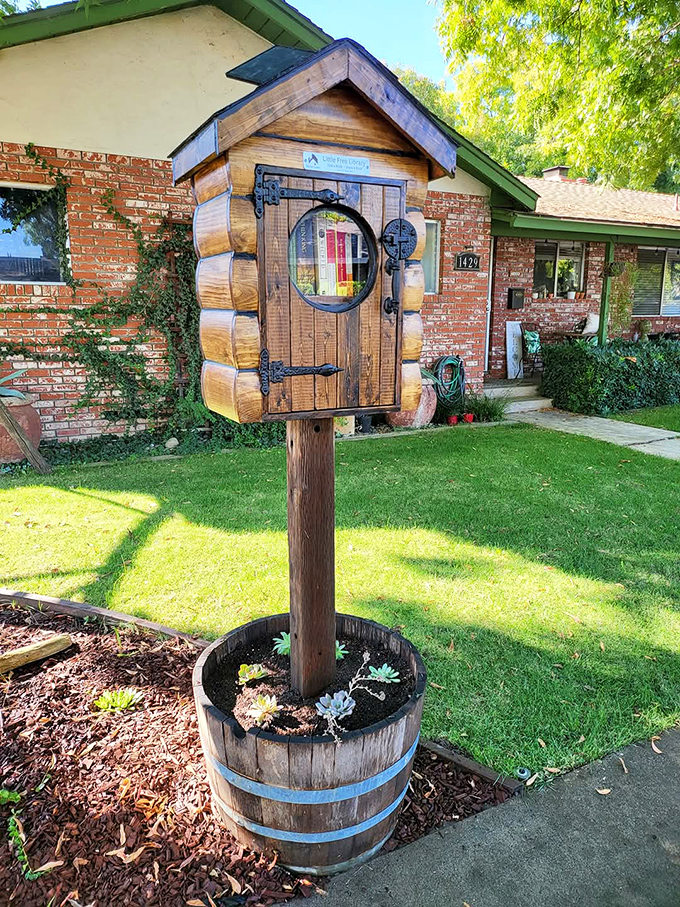 This charming Little Free Library captures Modesto's community spirit&mdash;take a book, leave a book, and stretch your entertainment budget while expanding your mind.