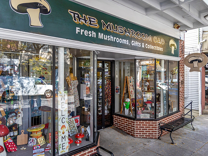 The Mushroom Cap isn't just a store&mdash;it's a shrine to the humble fungus that put this town on the culinary map.