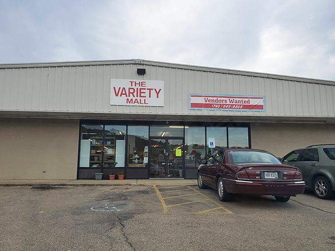 The Variety Mall &ndash; where "variety" isn't just a name but a promise, and one person's random collection becomes another's treasure hunt.