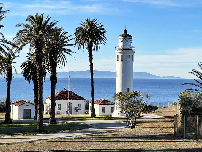 Palm trees and lighthouses: California's version of peanut butter and jelly&mdash;unexpected but somehow perfect together.