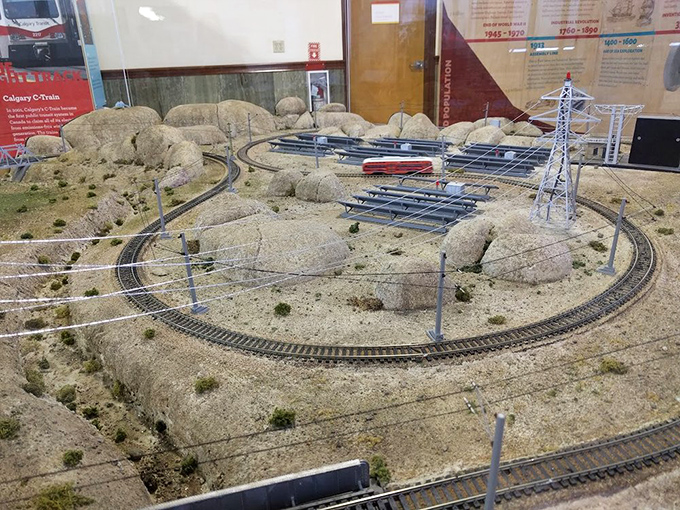 Multiple levels of track create a symphony of motion that hypnotizes visitors for hours.