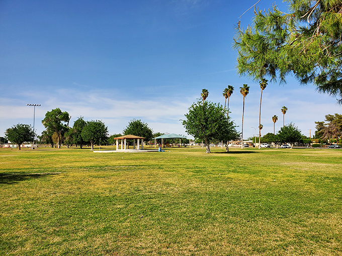 Todd Park provides a green respite from desert hues, its grass and shade trees creating a community gathering space where generations connect.