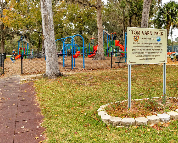 Tom Varn Park offers family fun without the theme park prices or lines. The only FastPass needed is the energy to keep up with the grandkids.