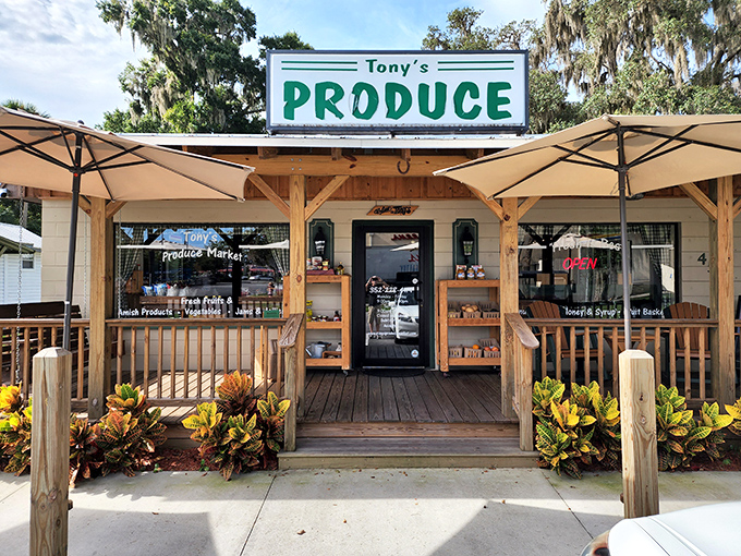 Tony's Produce Market showcases Florida's bounty under one welcoming roof – where shopping local isn't a trend, it's just Tuesday in Crystal River.