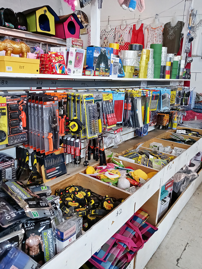 A hardware wonderland where DIY dreams are born. That project you've been putting off? Your excuse just disappeared.