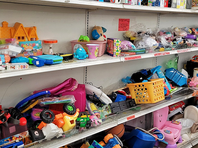 Childhood joy in bins and on shelves, proving some things never go out of style, just into storage.