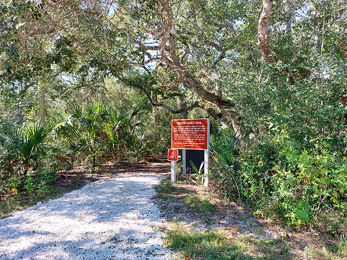 Nature's invitation: this trail beckons explorers into a world where cell service fades and wonder takes over.
