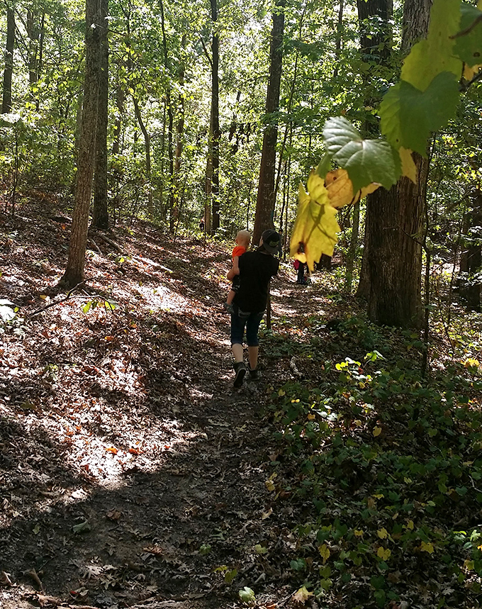 Sunlight filters through the trees, creating nature's own spotlight system on this trail. No Instagram filter will ever compete with this lighting.