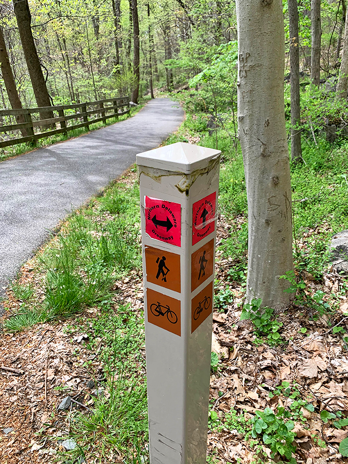 The Northern Delaware Greenway's trail markers – like bread crumbs for grown-ups who still believe in the magic of getting pleasantly lost.