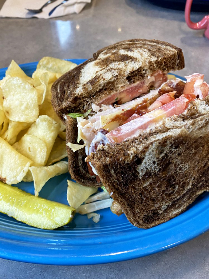 This sandwich doesn't just satisfy hunger &ndash; it conquers it. Layers of goodness between marble rye with chips standing guard. Lunch perfection achieved.