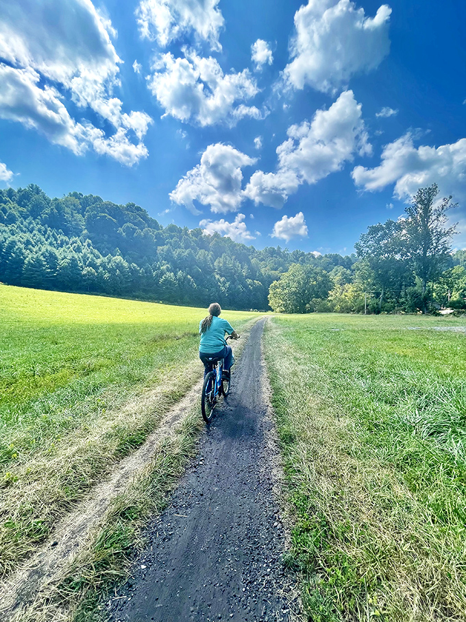 The Virginia Creeper Trail offers gentle paths through meadows so idyllic, you'll half expect Julie Andrews to come cycling over the hill singing.