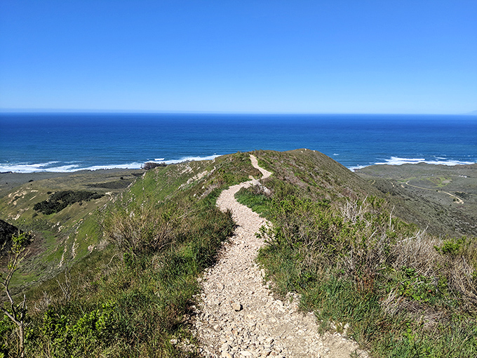 Valencia Peak trail stretching toward infinity, or at least toward really spectacular ocean views.