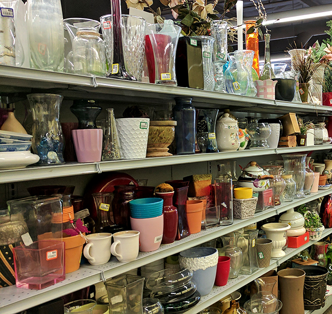Artificial plants that never die and vases that hold real potential, all waiting for their forever homes.
