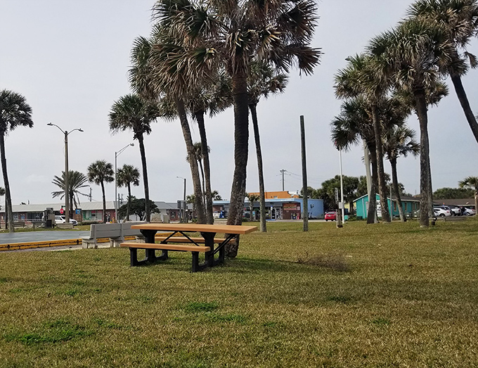 Veterans Park offers grassy spaces and palm-lined paths where the sea breeze carries the sound of community gatherings.