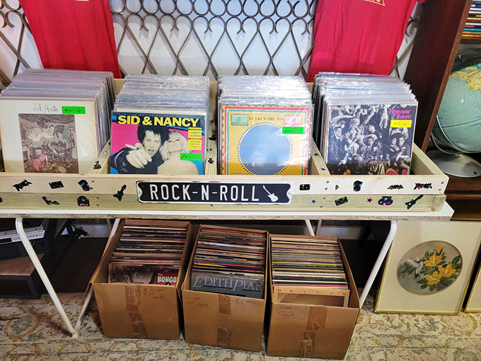 Vinyl's not dead – it's living its best life here among albums that shaped generations of music lovers.