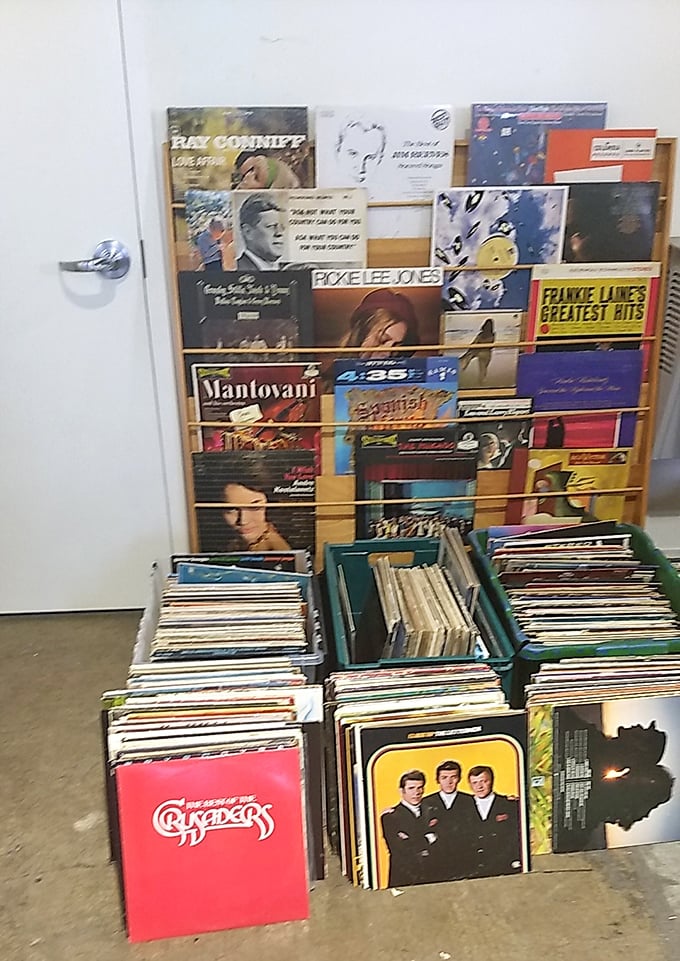 Vinyl revival central! These record stacks contain forgotten hits and hidden gems waiting to spin their way back into someone's life.