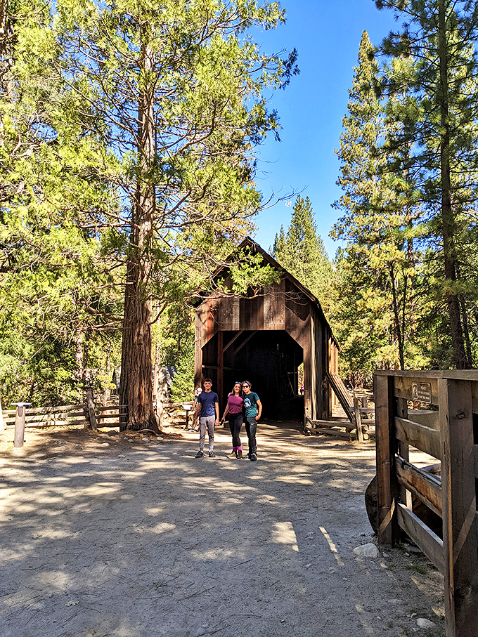 Families discover that the best adventures don't require Wi-Fi or admission tickets, just curiosity.