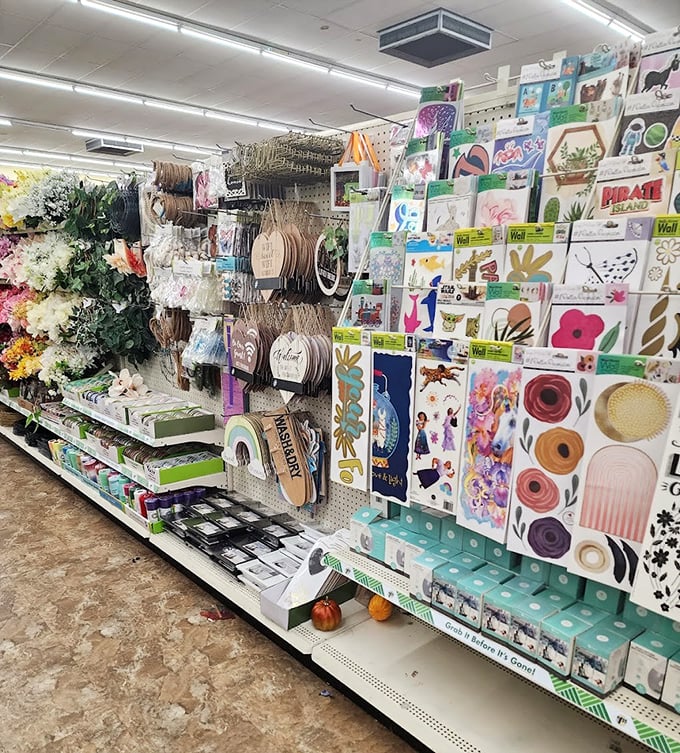 Creative supplies unleash artistic potential more affordably than expensive craft stores that treat creativity like luxury commodity purchases.