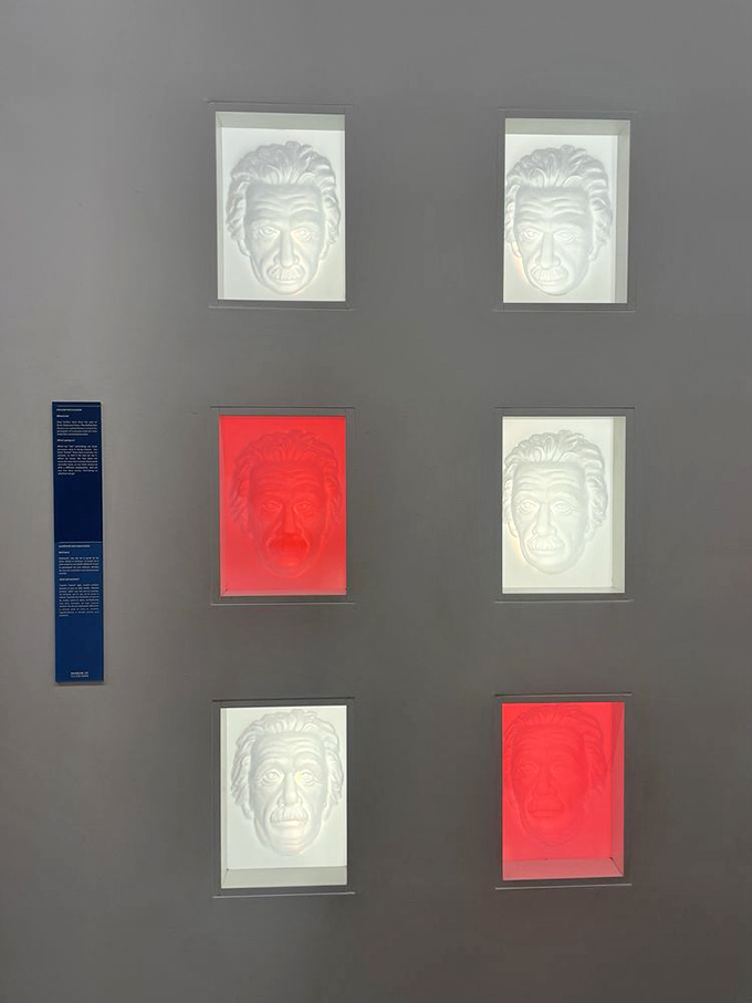 These portraits prove that perception is just your brain's way of playing practical jokes.