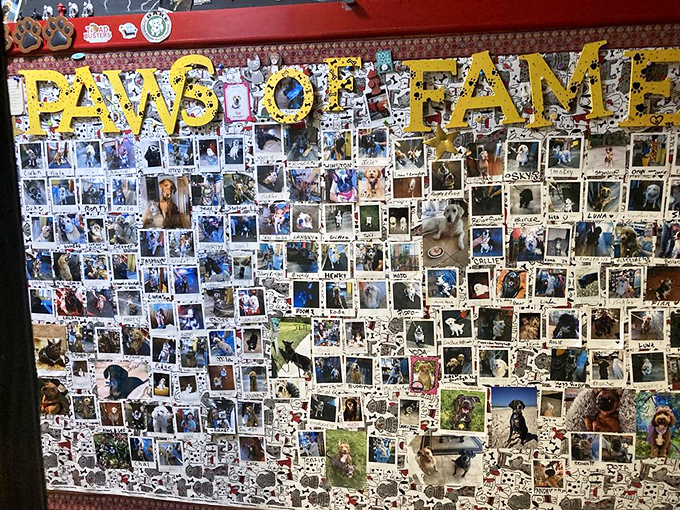 The "Paws of Fame" wall showcases the true VIPs&mdash;Very Important Pups. This restaurant knows its priorities are perfectly in order.