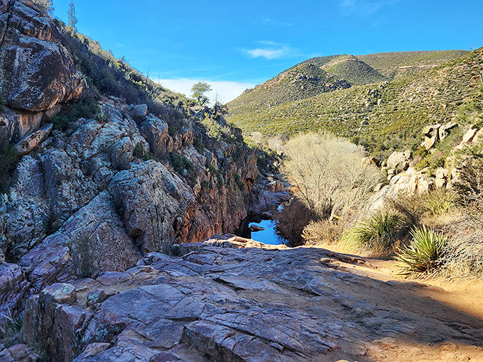 Water Wheel Falls rewards hikers with nature's perfect swimming hole—carved by centuries of patience rather than a contractor with a deadline.